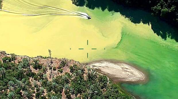 Plume of contamination prompts no-swim advisory for South Yuba River ...