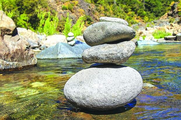 Nevada County Captures: GiGi the goose | News | theunion.com