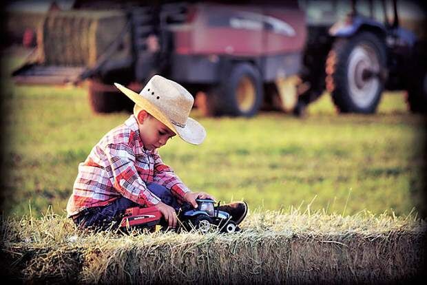 Photo contest winners announced by farm bureau | Entertainment ...