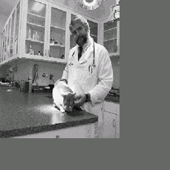 Best veterinarian – Dr. Michael Trapani | News | theunion.com