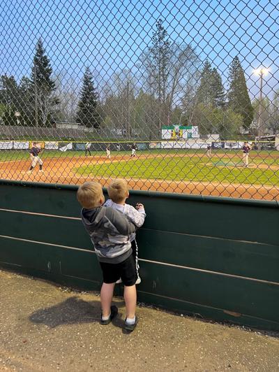 Take me out to the ball game | News | theunion.com