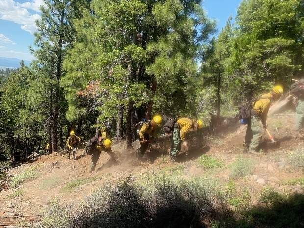 Tahoe National Forest Hotshot crews looking for recruits for 2020 field ...