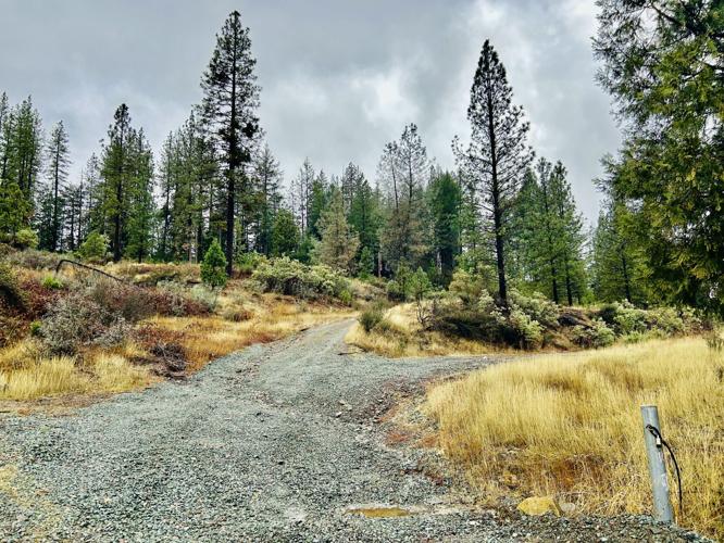 Grass Valley accepts two land dedications for trails and possible ...
