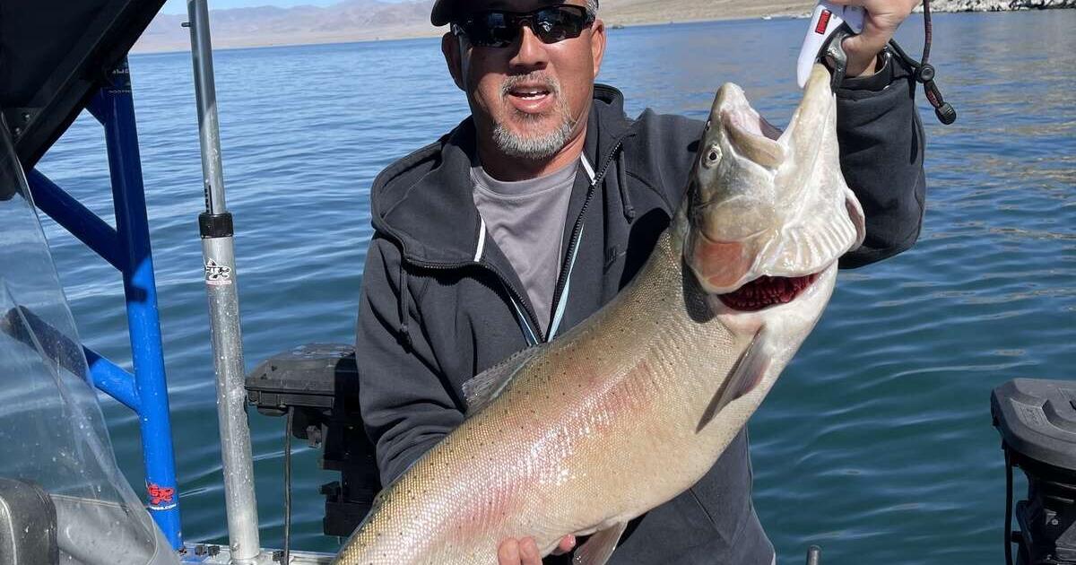 Denis Peirce: Time to Fish Pyramid Lake | Lifestyles | theunion.com