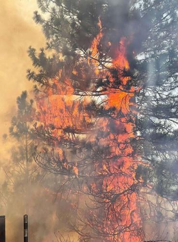 ‘Early in the season’: Bennett Fire burns over 60 acres, forces ...