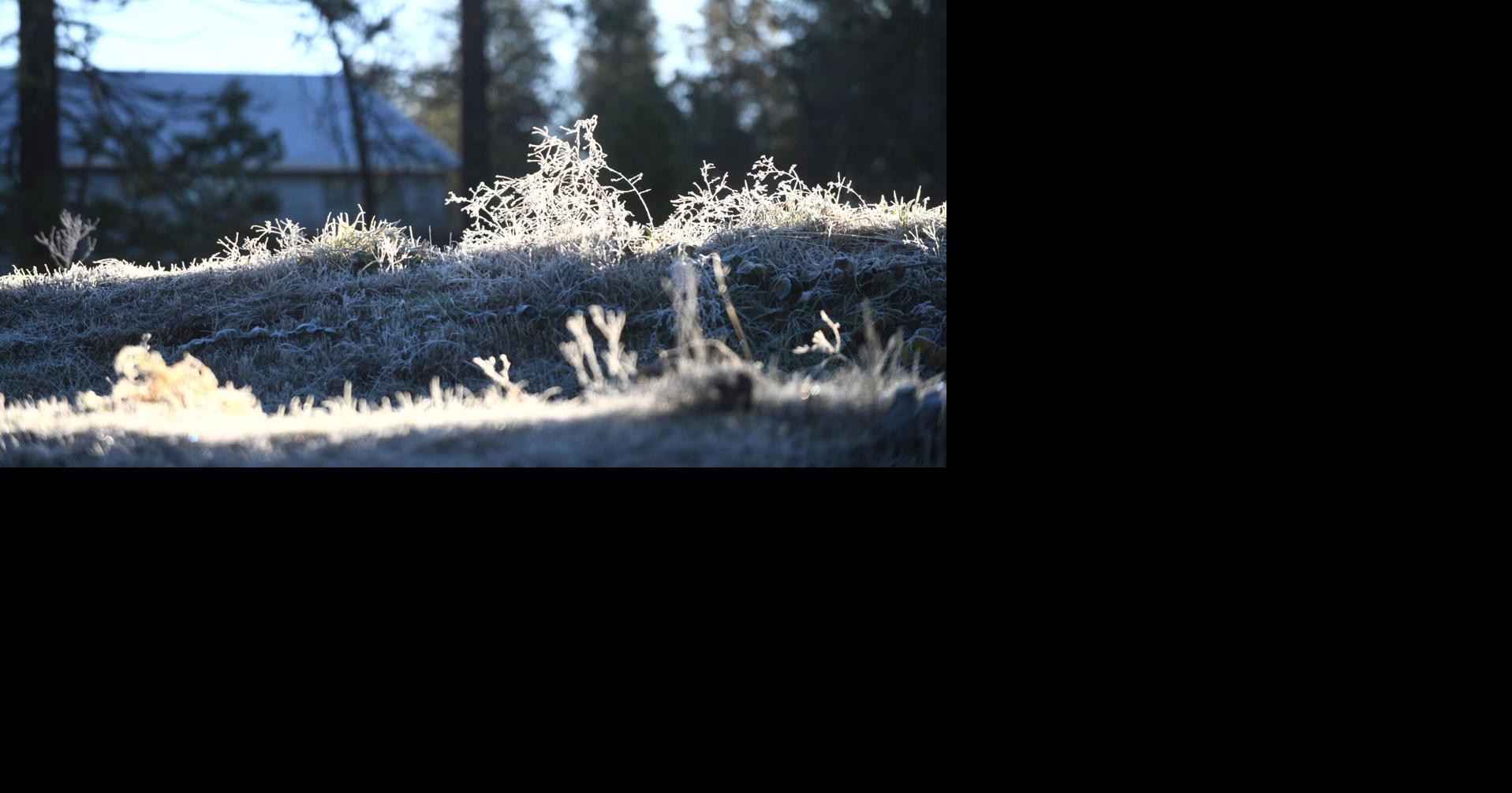 Grass Valley weather: Frost advisory in effect through Sunday; Sunny ...