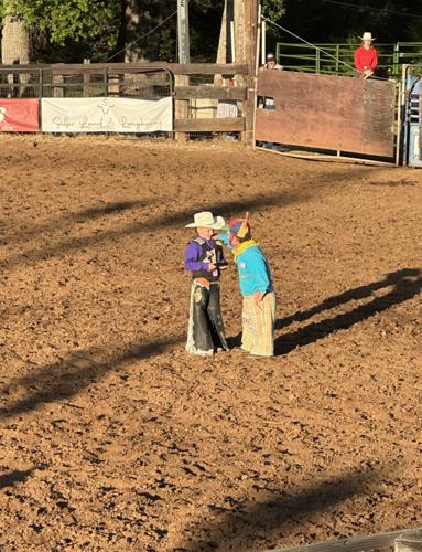Nevada County Captures: Kids enjoying the Penn Valley rodeo | News ...