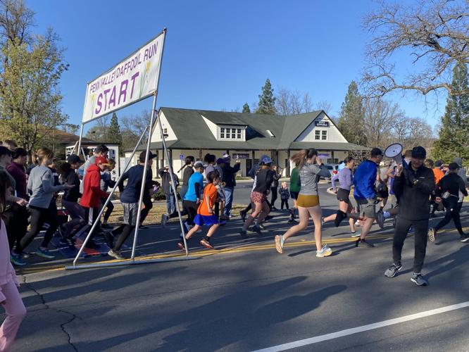 The 25th Penn Valley Daffodil Run set for April 6, 2025 | Sports ...