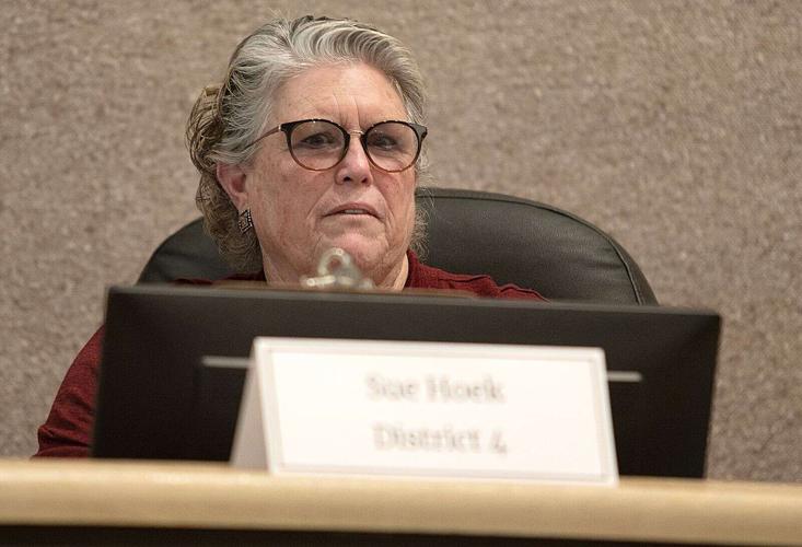 Two for District 4: Calvin Clark, Sue Hoek run for Board of Supervisors ...
