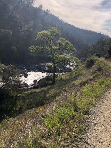 Nevada County Captures: French Corral | Community | theunion.com