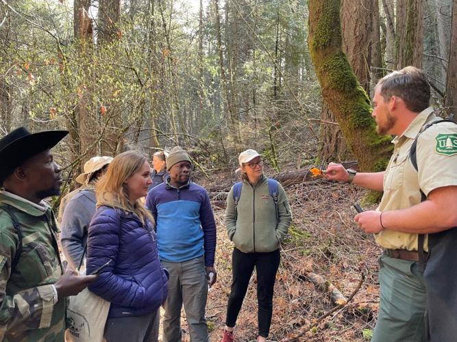 Tahoe National Forest announces 2024 summer interpretive programs ...
