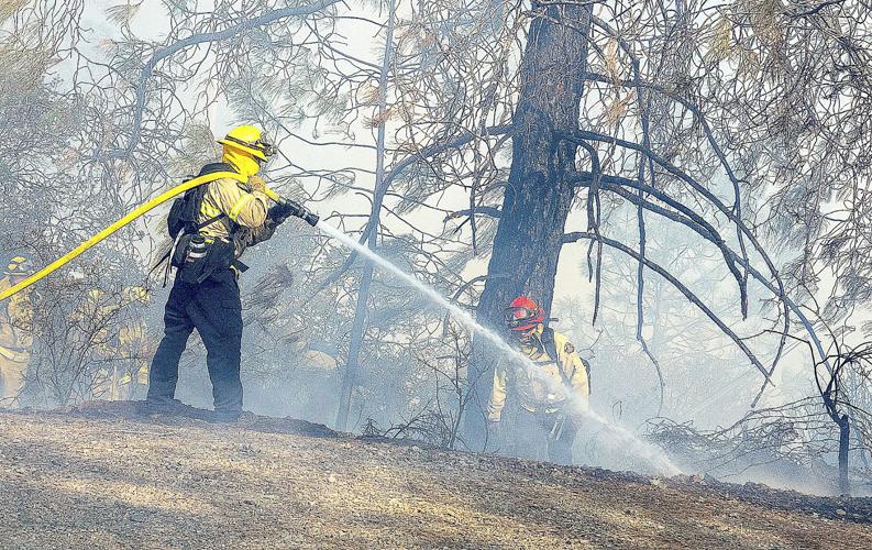 Suspect arrested in connection with wildland fire in Grass Valley ...