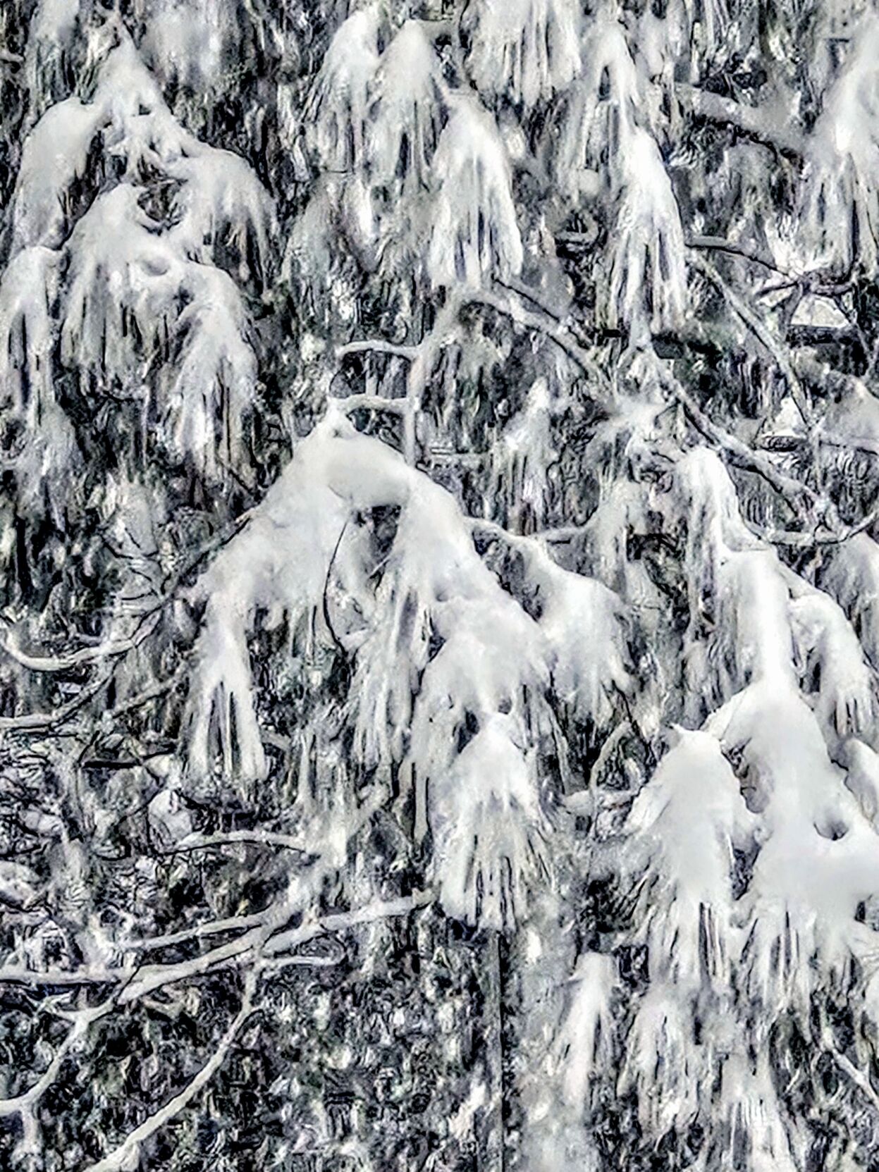 Nevada County Captures: Grass Valley winter wonderland | Multimedia ...