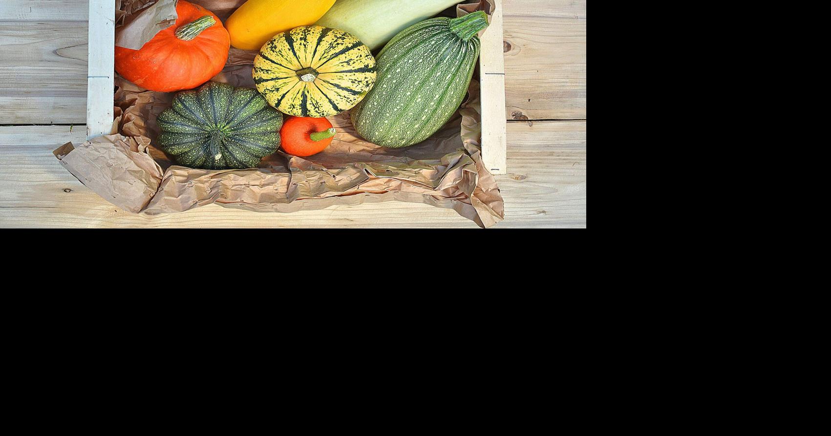 Alan Tangren: Summer means squash | Farm to Table | theunion.com