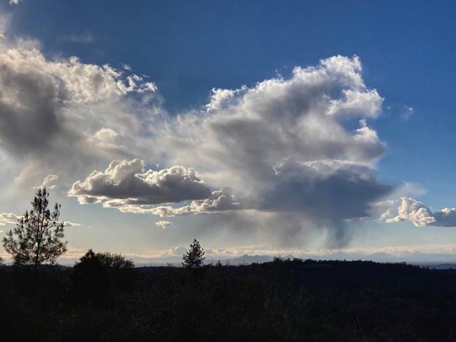 Nevada County Captures: Intro to Photography | News | theunion.com