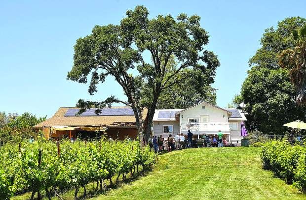 A day on the farm: Nevada County Farm Bureau hosts annual Ag Tour ...