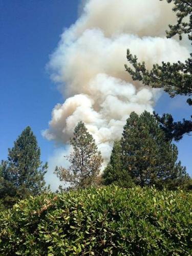 Man arrested on arson charges in connection to Grass Valley fire (VIDEO ...