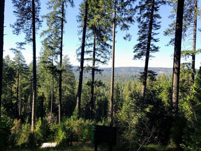 Mary West: Exploring the Cascade Canal Trail | Lifestyles | theunion.com