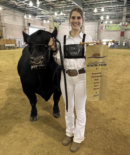Preparing for the fair: Local FFA members share what it takes to be the ...