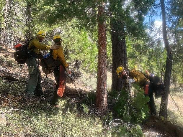 Tahoe National Forest Hotshot crews looking for recruits for 2020 field ...
