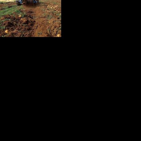 The next generation of farming: AM Ranch, Super Tuber Farm team up ...