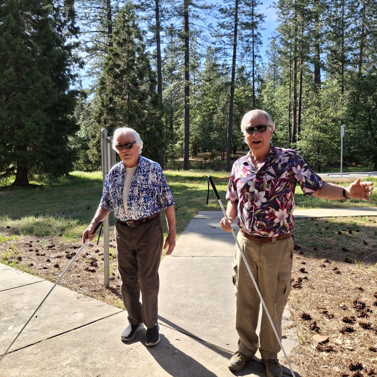 Consider donating to Sierra Services for the Blind and Visually ...