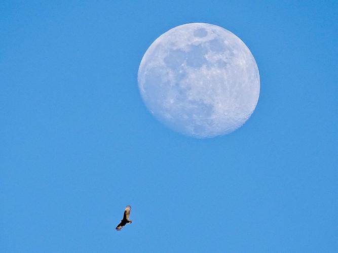 Nevada County Captures: Banner Lava Cap sign | Multimedia | theunion.com
