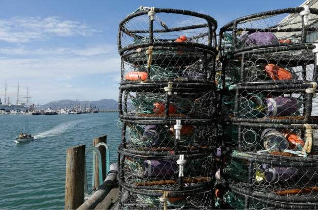 Beyond the county: UC Merced stabber had no terrorist connections, High ...