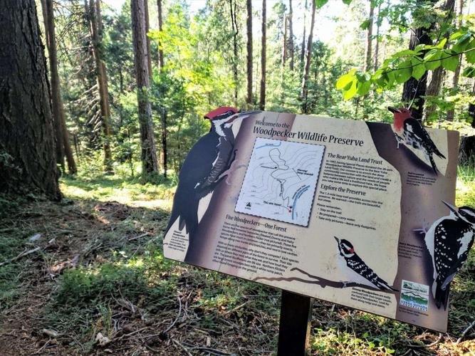 Mary West: Exploring the Cascade Canal Trail | Lifestyles | theunion.com