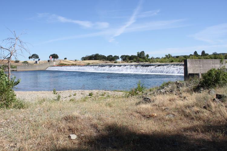 Denis Peirce: A “Nature like fish way” | Lifestyles | theunion.com