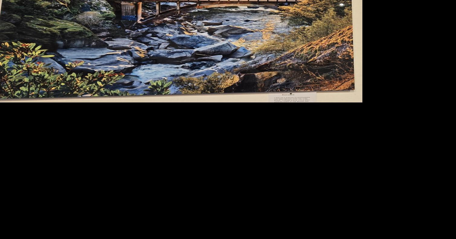 Nevada County Captures: Beautiful artwork at the Seven Stars Gallery on ...