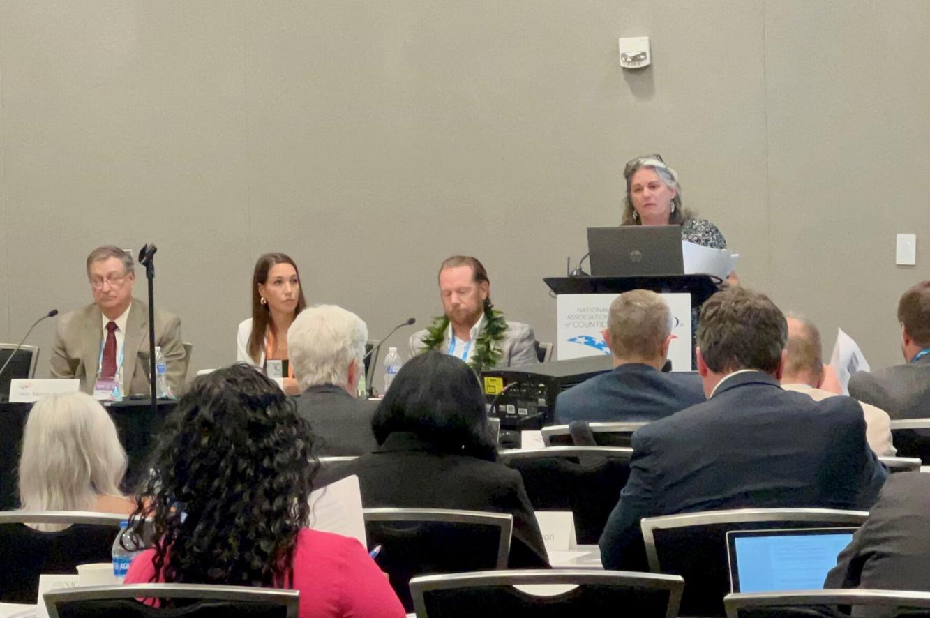 Supervisor Heidi Hall advocates for federal help with wildfire ...