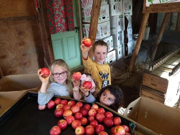 New farmer’s market brings Rosh Hashana to life for children in Nevada ...