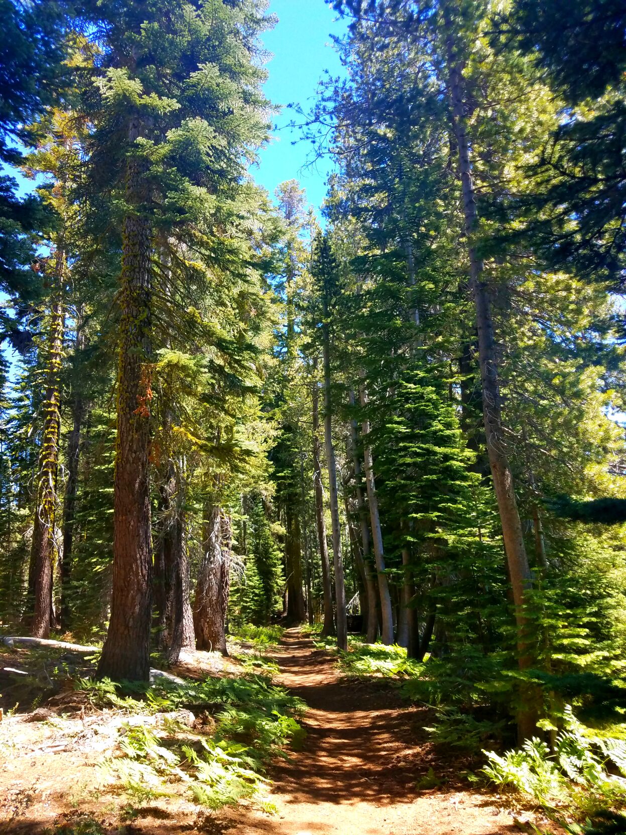Day hiker: Summit Lake Trail – A summer escape with alpine views ...