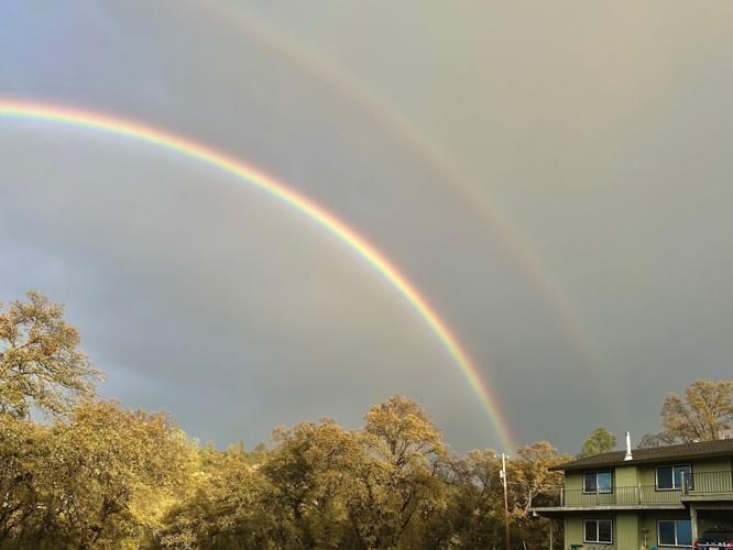 Nevada County Captures: After the rain | Multimedia | theunion.com