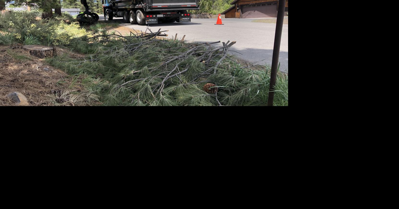 Truckee Fire urges residents to take advantage of fire management ...