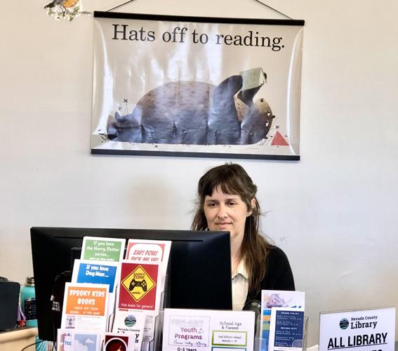 Living the life of Rylee: Local dog one of several pooches to bring ...