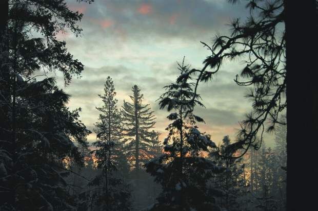 Nevada County Captures: Kayaking Scotts Flat Lake; Morning fog | News ...