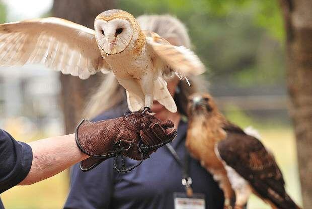 Wildlife Rehabilitation & Release wants to remind you what to do when ...