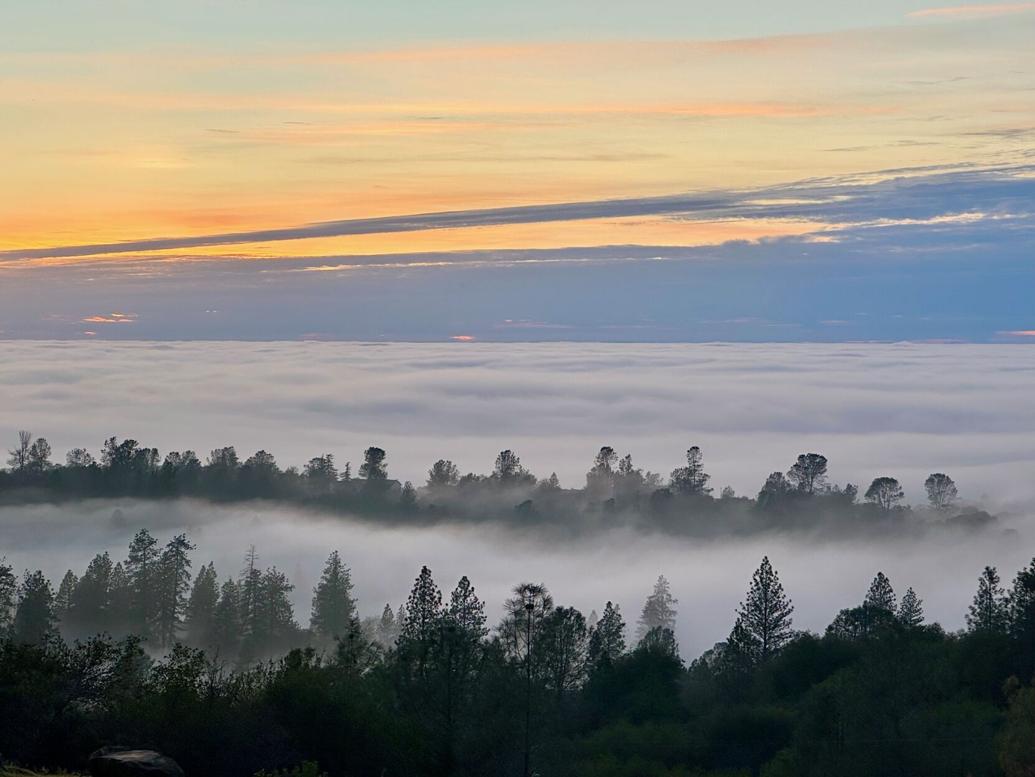 Caltrans: Motorists should be prepared for quickly developing tule fog ...