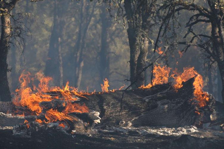 Fire causes evacuations off Brewer Road (VIDEO/PHOTO GALLERY) | News ...