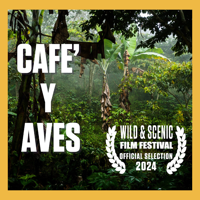 Wild & Scenic Film Festival unveils 2024 official selections | Local News | theunion.com