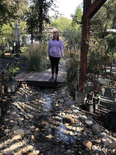 Meet your merchant: Wildflower Nursery transforms a bland Penn Valley ...