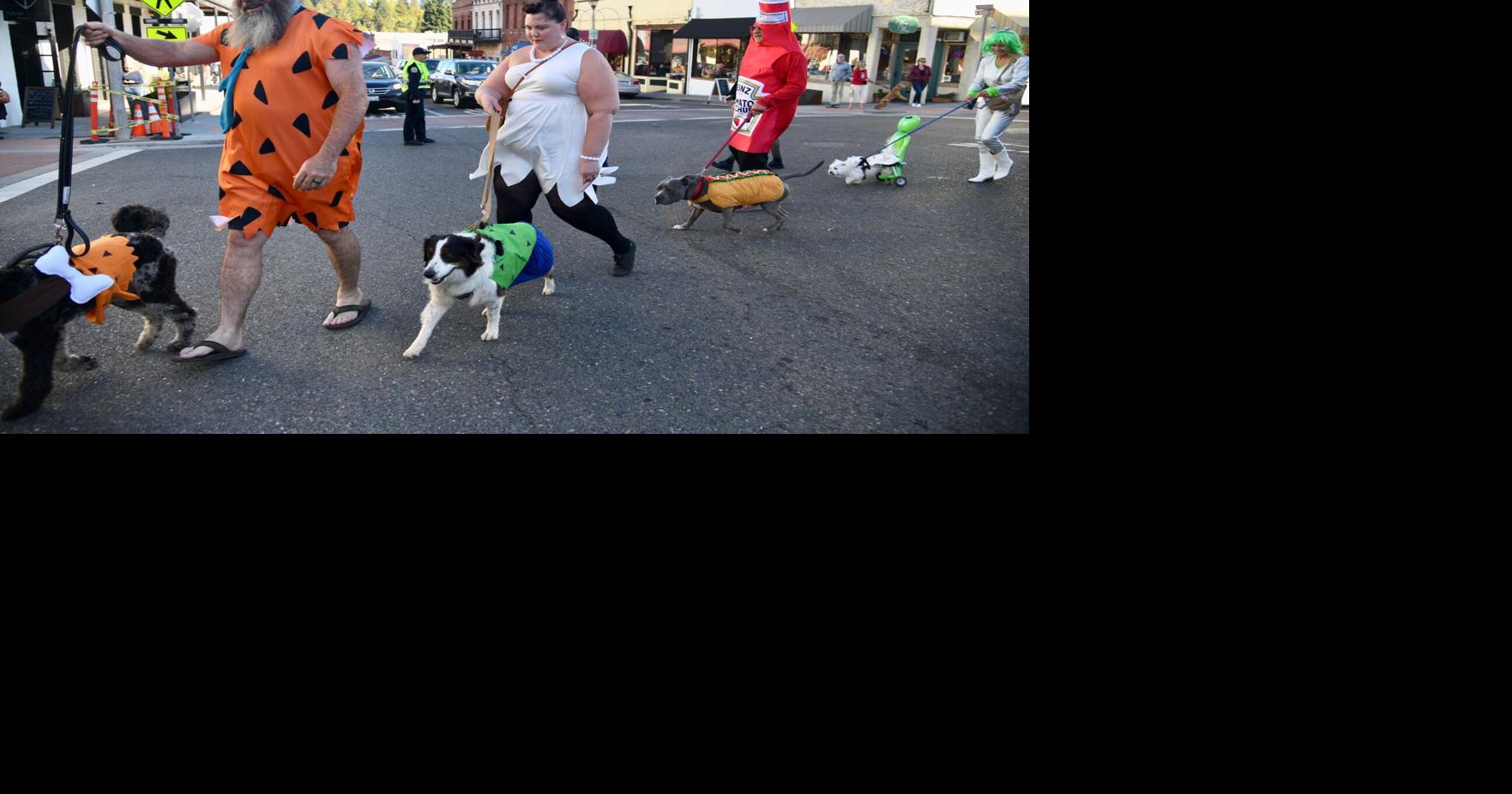 Grass Valley goes to the dogs: Annual Howl-o-ween dog mob parade draws ...