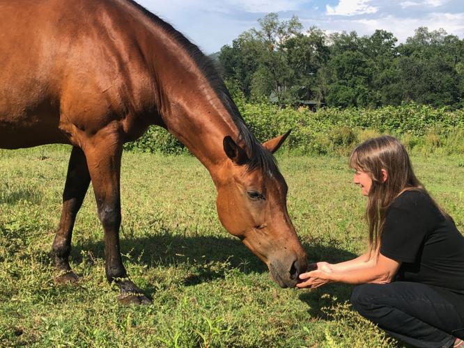 The way of the horse: The benefits of the Equine Experience | News ...