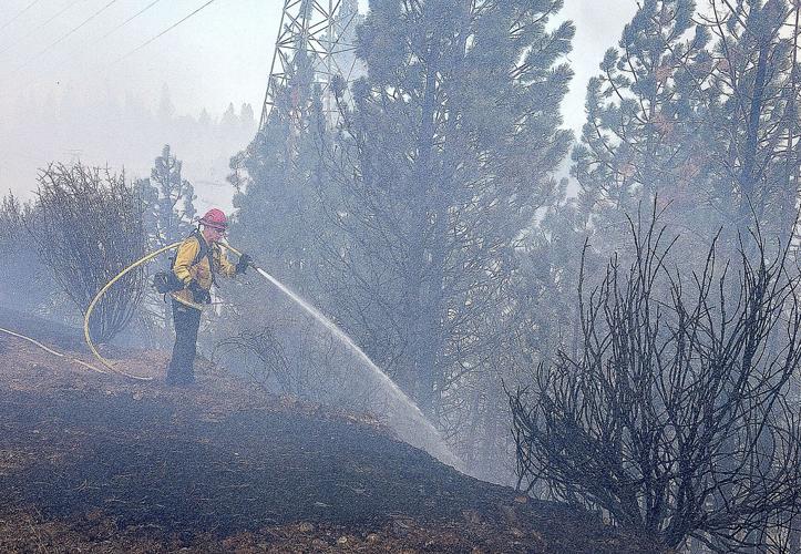 Suspect arrested in connection with wildland fire in Grass Valley ...