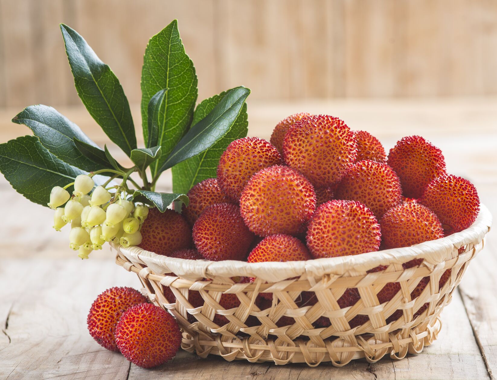 BriarPatch Food Co-op: Berry unusual: Meet the Madrone Berry ...