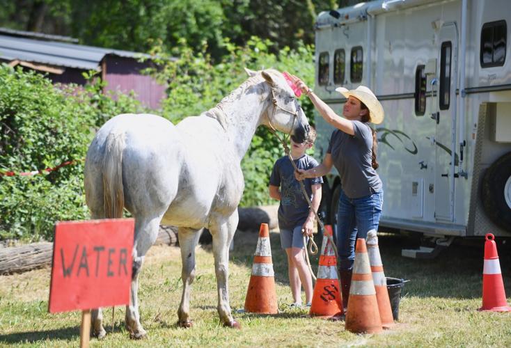 'They call the thing rodeo': Participants and spectators prepare for ...