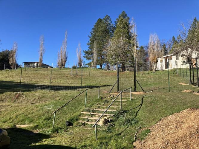 Nevada City's Felix Gillet Day celebrates early Gold Rush era ...