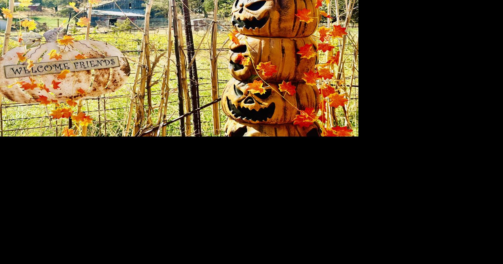 Twists and turns of terror: The Haunted House Pumpkin Patch provides ...